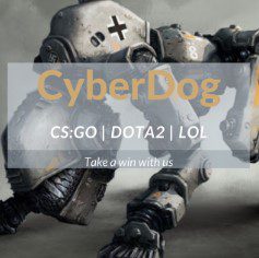 CyberDog : Отзывы игроков ☝️ Обзор ставок в телеграмм канале каппера